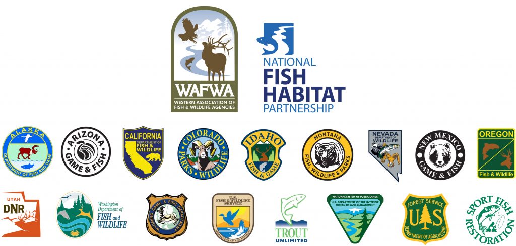 Western Native Trout Initiative – Protect . Restore . Enhance ...