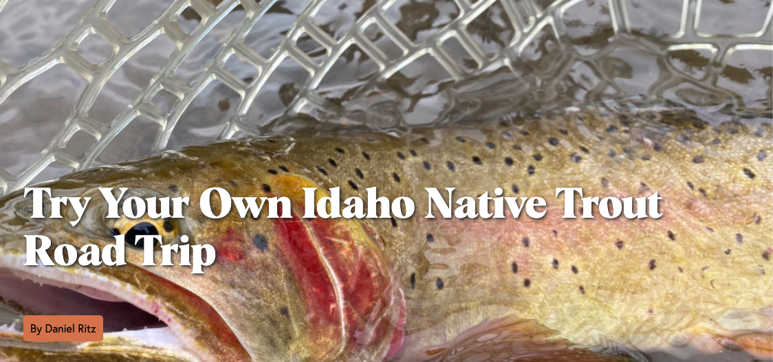 ‘Road Tripping for Native Trout in Idaho’ for Visit Idaho – Western ...