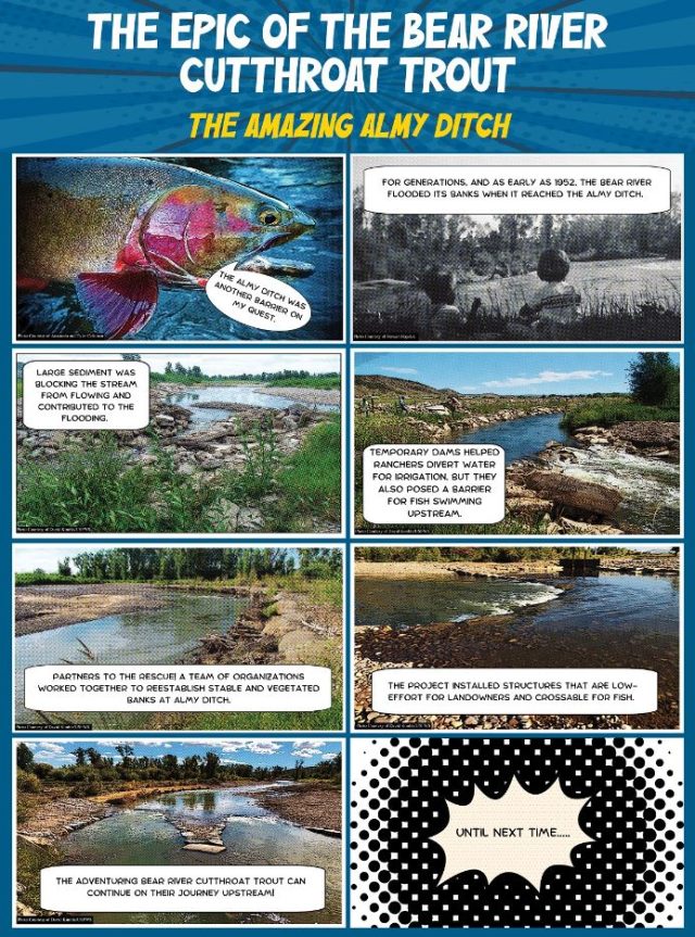 The Epic Tale of the Bear River cutthroat trout part 2 – Western Native ...